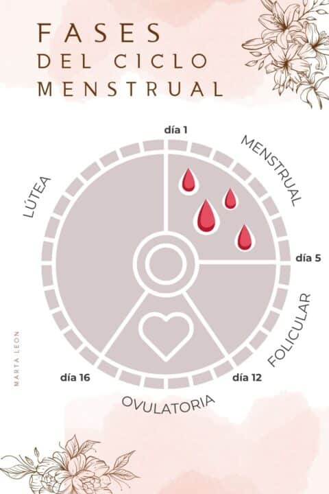 Diagrama menstrual - Marta León