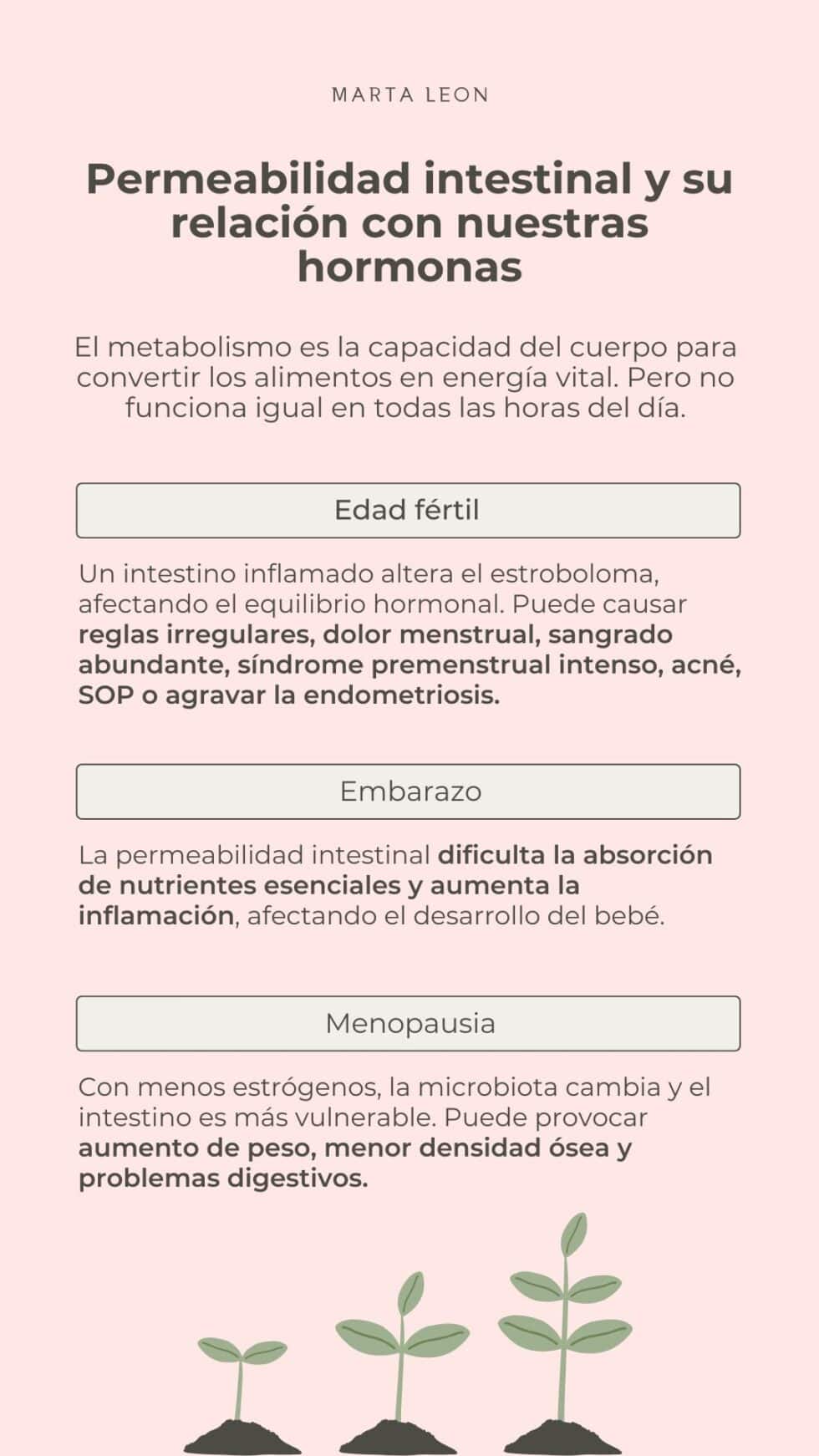 Permeabilidad Intestinal: La Clave de la salud femenina