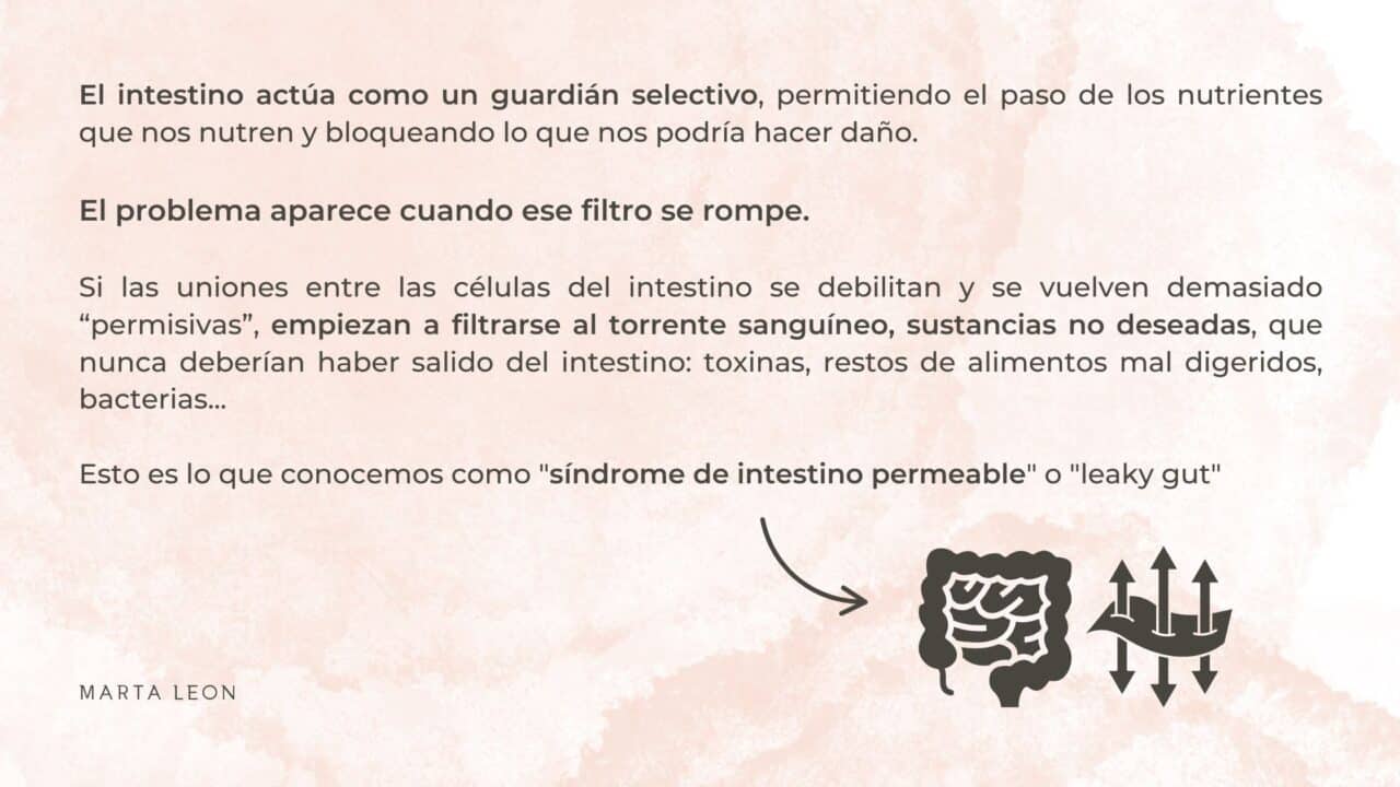 Permeabilidad Intestinal: La Clave de la salud femenina